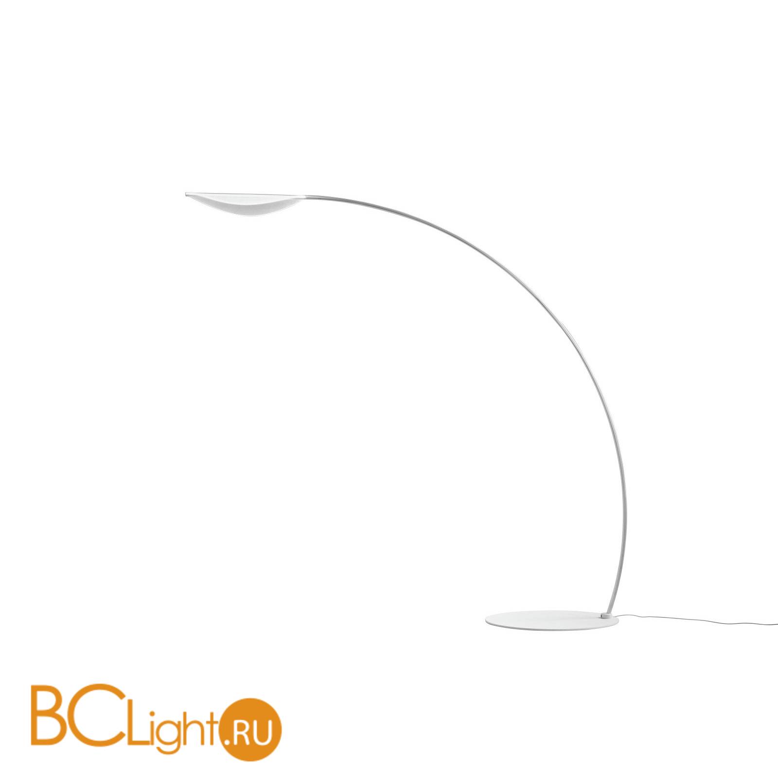 Купить торшер Linea Light Diphy 8165 с доставкой по всей России в ...